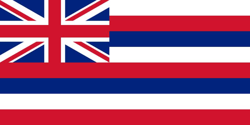 Hawaii Brain Injury Support Groups